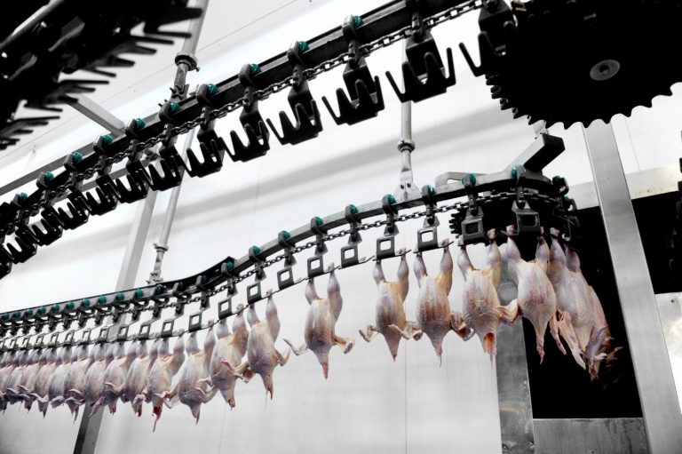 Environmental Integrity Three Quarters of Large U.S. Slaughterhouses ...